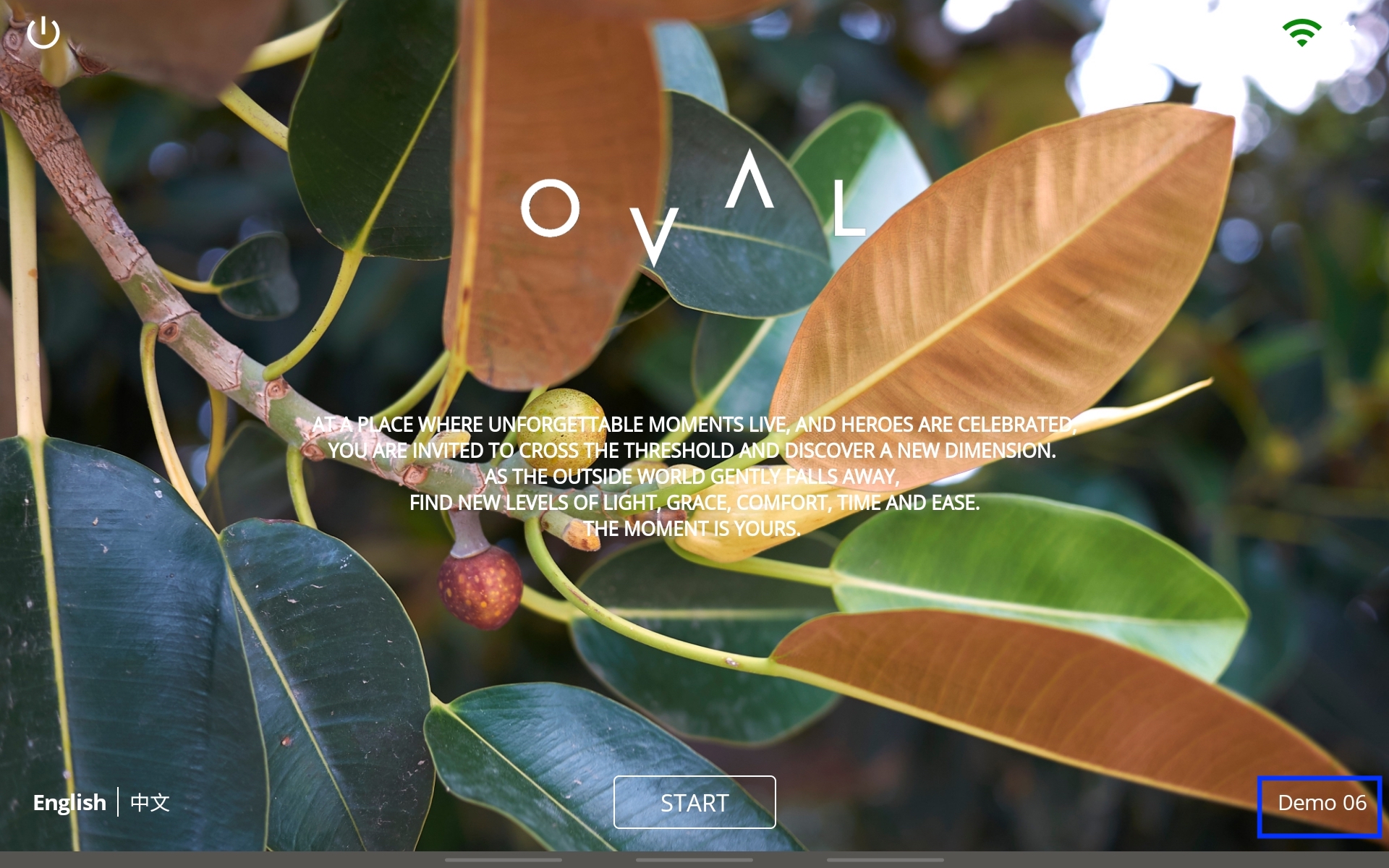 Image sizes – Tapendium